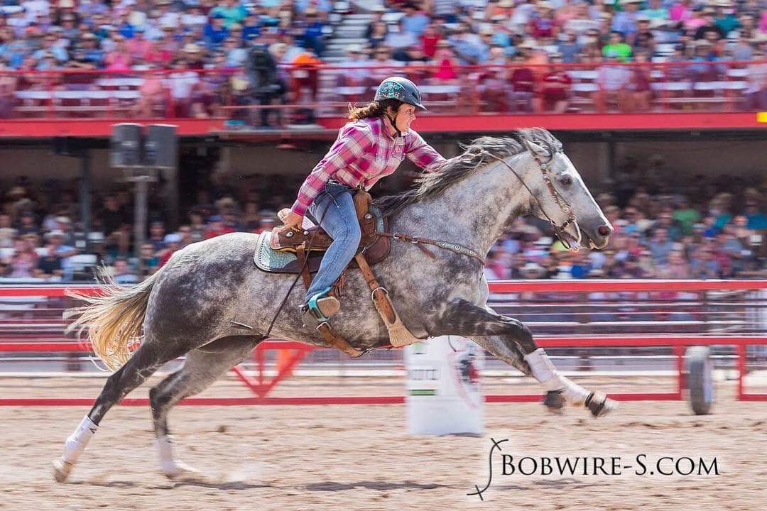 Going Pro: Thoroughbreds in the WPRA – The Western Thoroughbred