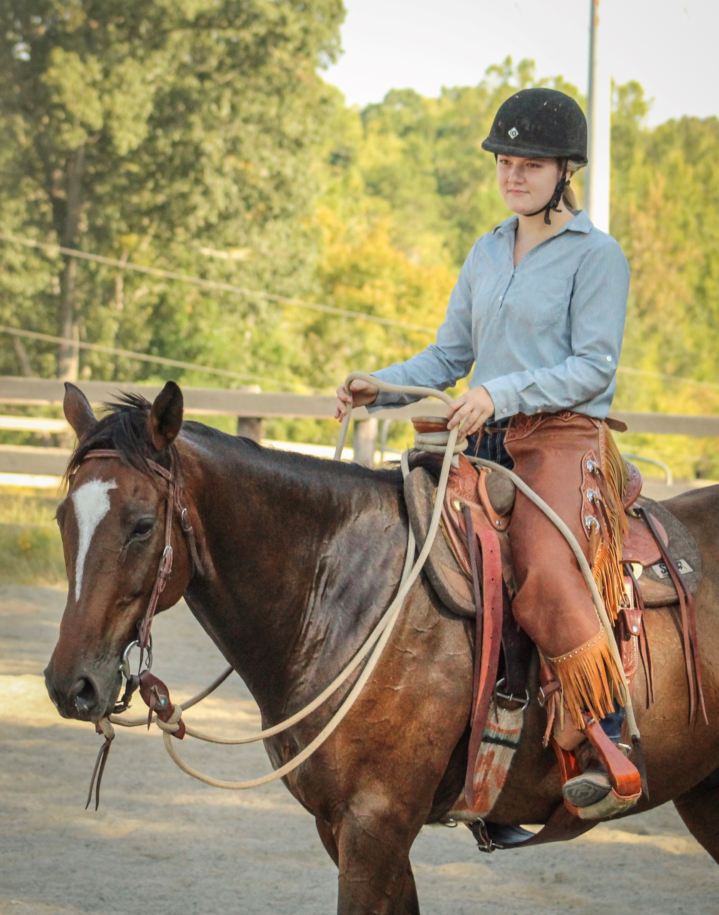 Ambassadors – The Western Thoroughbred