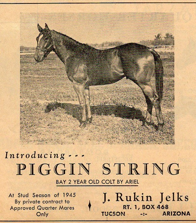 The Western Thoroughbred History – Piggin String – The Western Thoroughbred