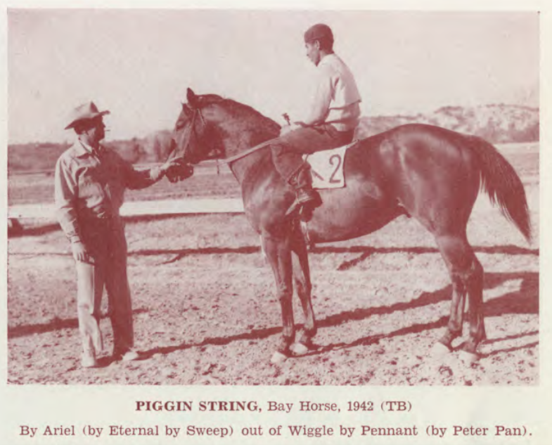 The Western Thoroughbred History – Piggin String – The Western Thoroughbred