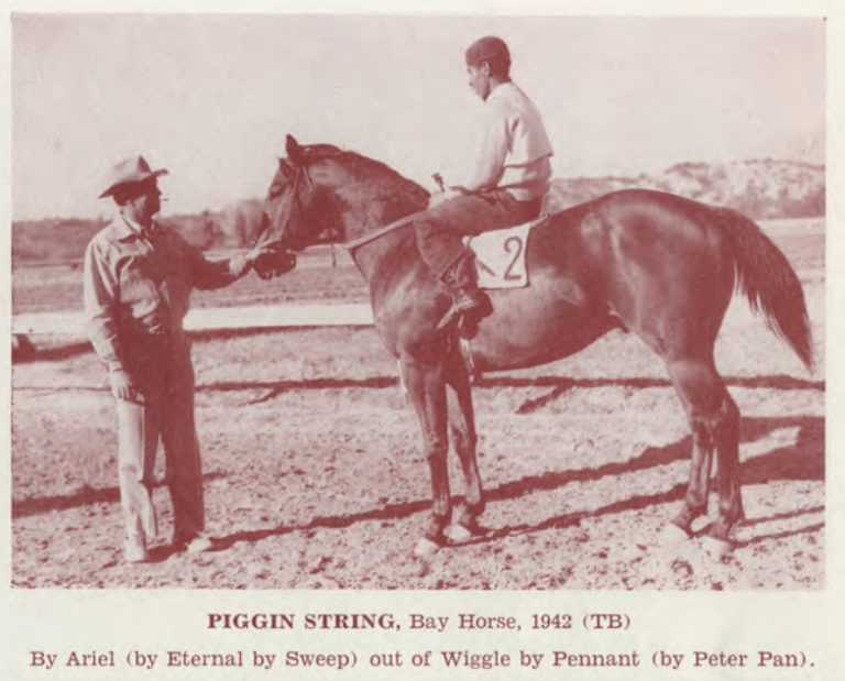 The Western Thoroughbred History – Piggin String – The Western Thoroughbred