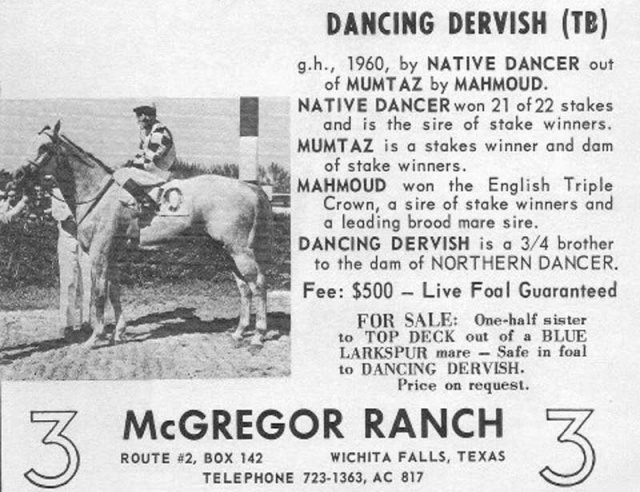 dancing-dervish – The Western Thoroughbred