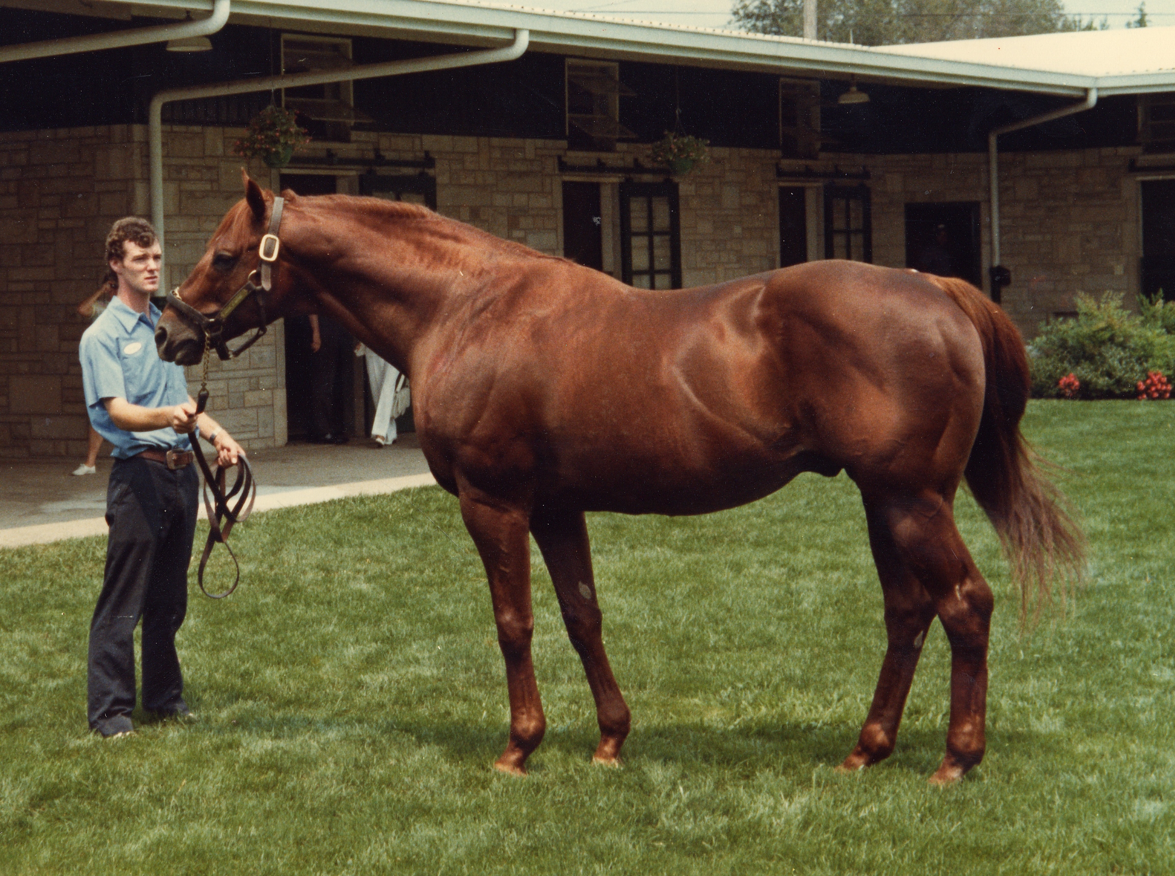 The Western Thoroughbred History – Raise Your Glass – The Western ...