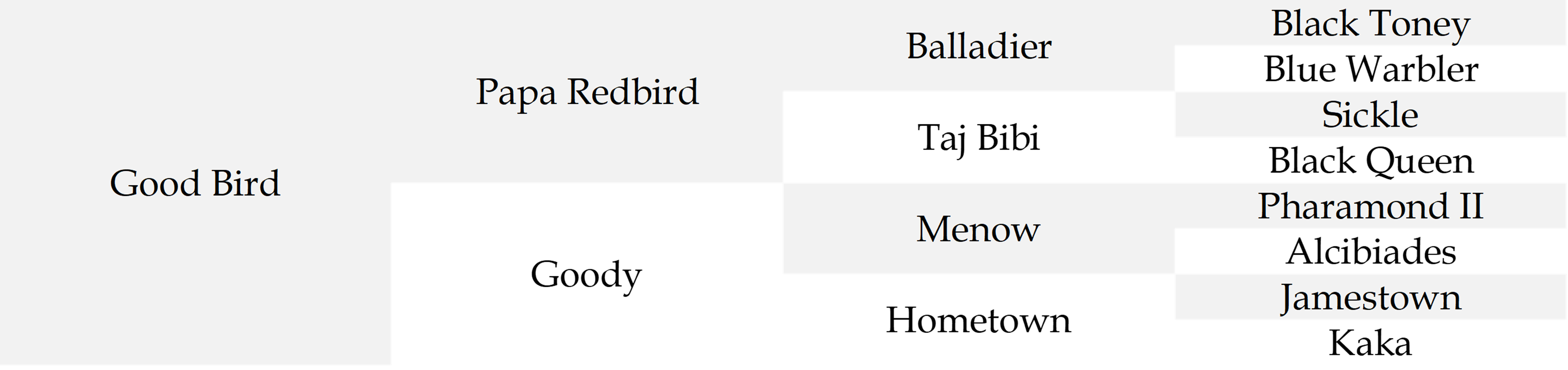 The Western Thoroughbred History: Good Bird – The Western Thoroughbred