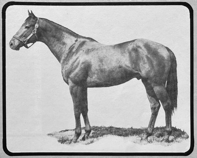 The Western Thoroughbred History: Champsville – The Western Thoroughbred