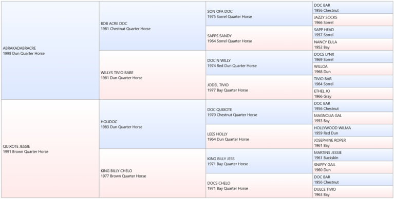 2024 WNFR Pedigree Analysis – The Western Thoroughbred