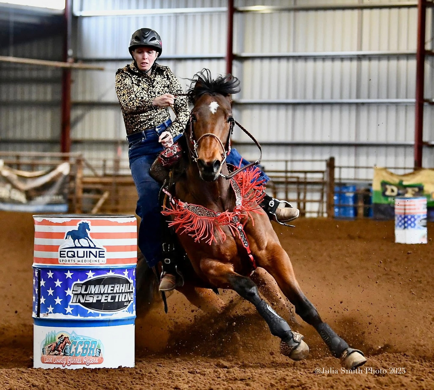 Ambassadors – The Western Thoroughbred