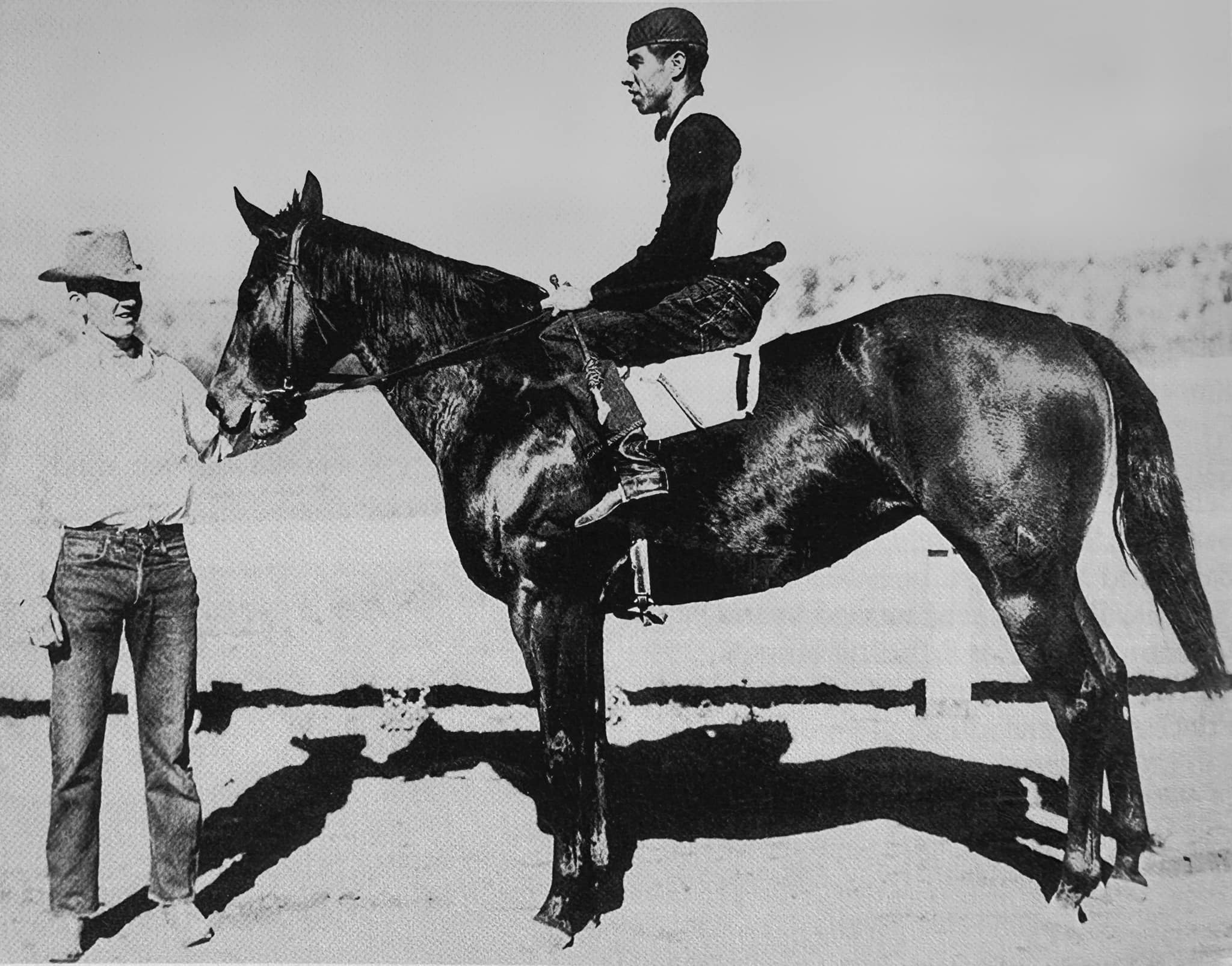 The Western Thoroughbred History: Miss Bank – The Western Thoroughbred