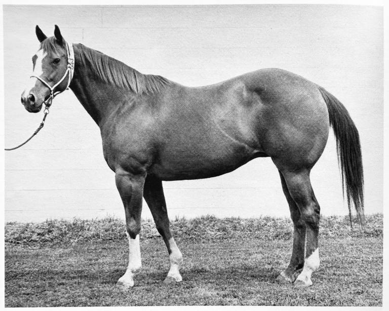 The Western Thoroughbred History: Real Dish – The Western Thoroughbred
