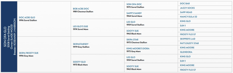 2025 WNFR Pedigree Analysis – The Western Thoroughbred
